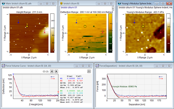 Force Volume Image Analysis